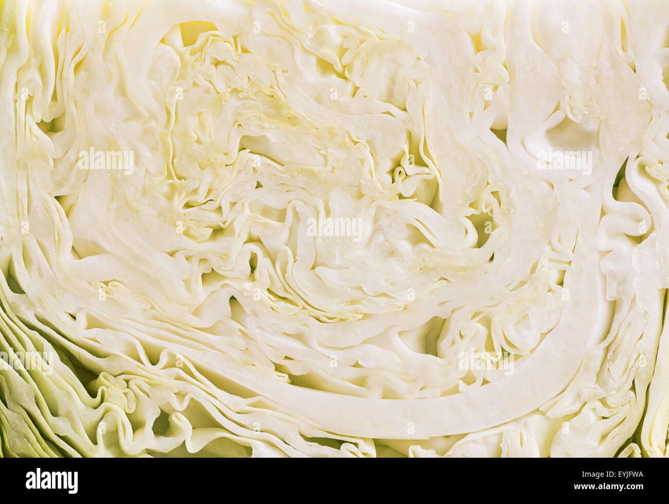 Cubbage cut with knife Stock Photo - Alamy