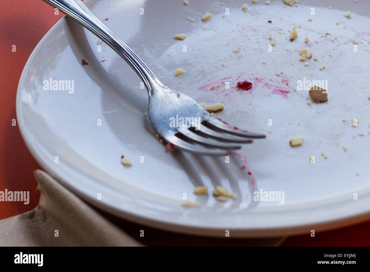 leftover crumbs on a plate with a dirty fork after eating a fruit tart ...