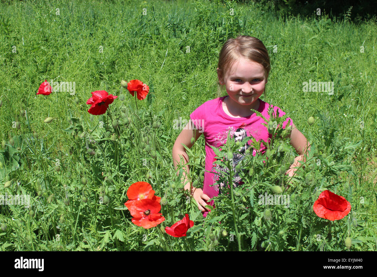girl standing in the flower-bed with blossoming red poppies Stock Photo ...
