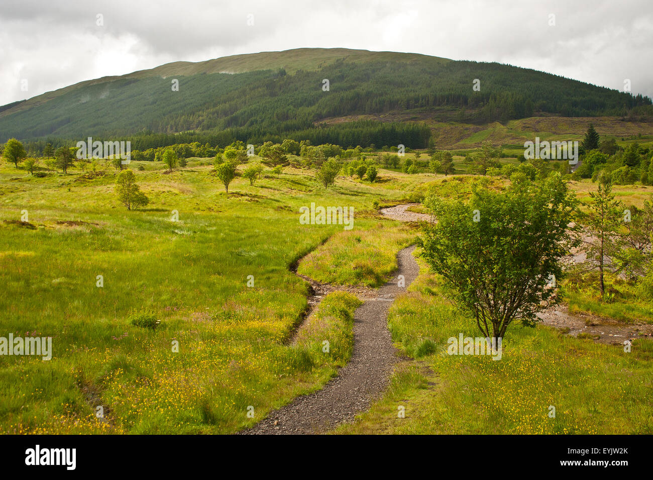 west highland way footpathne river Lochy, river at tyndrum, scotland ...