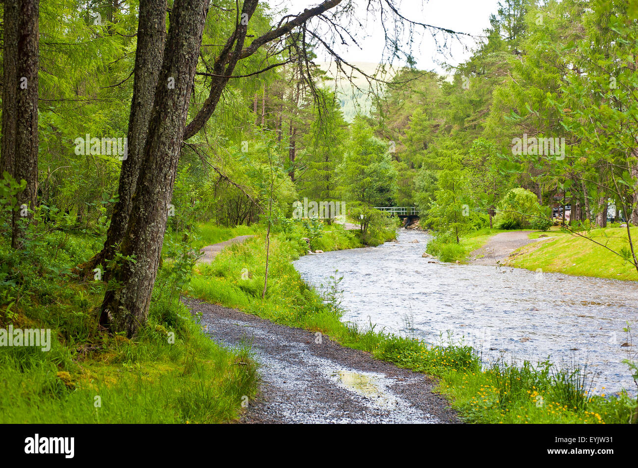 west highland way footpath along river Lochy at Tyndrum Stock Photo - Alamy