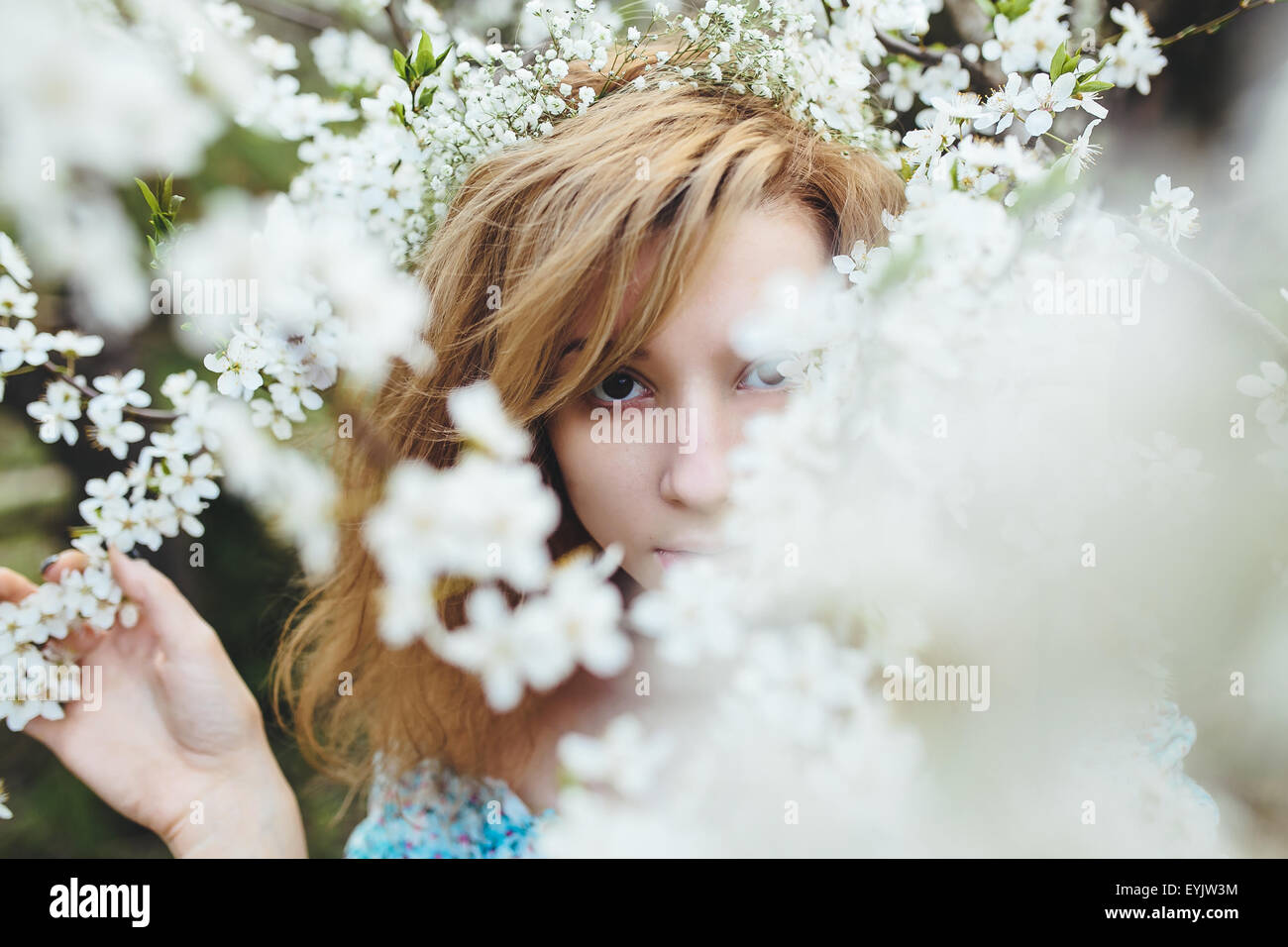 Portrait of a beautiful girl flowering trees Stock Photo - Alamy