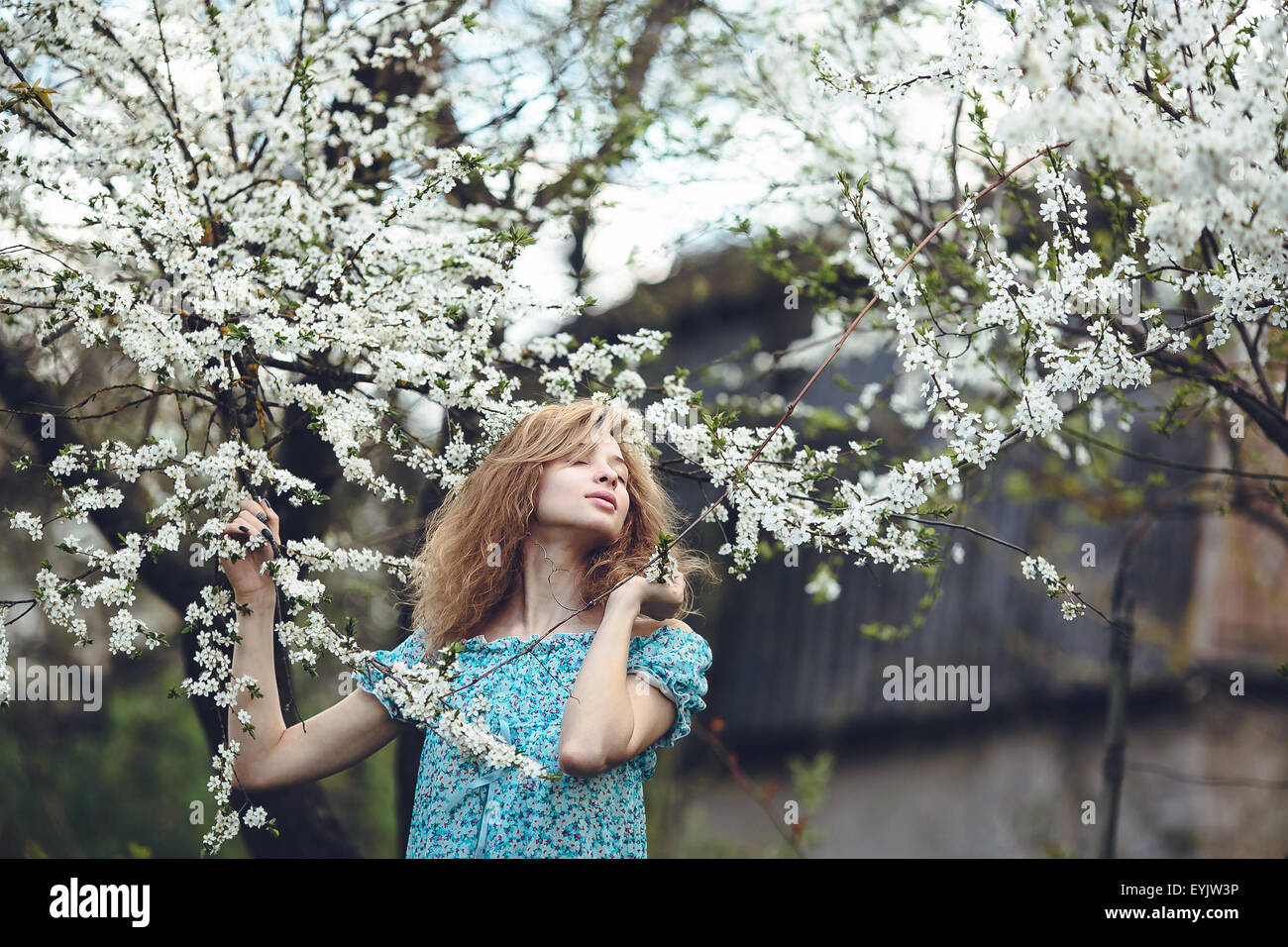Portrait of a beautiful girl flowering trees Stock Photo - Alamy
