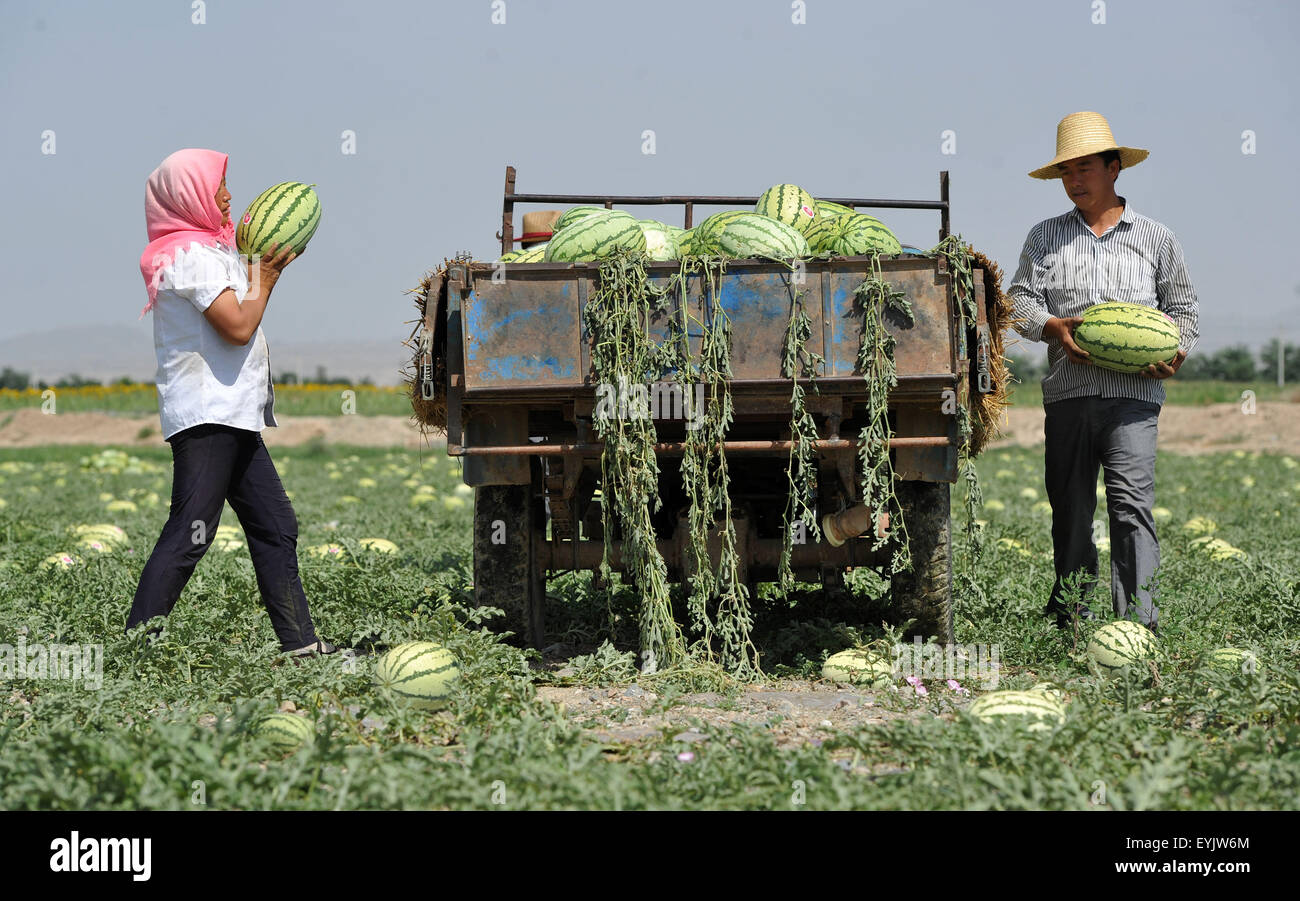 Zhongwei, China's Ningxia Hui Autonomous Region. 31st July, 2015 ...