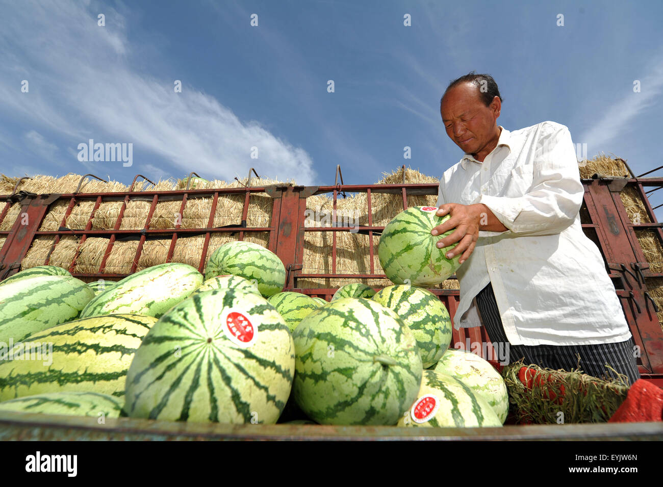 Zhongwei, China's Ningxia Hui Autonomous Region. 31st July, 2015. A ...