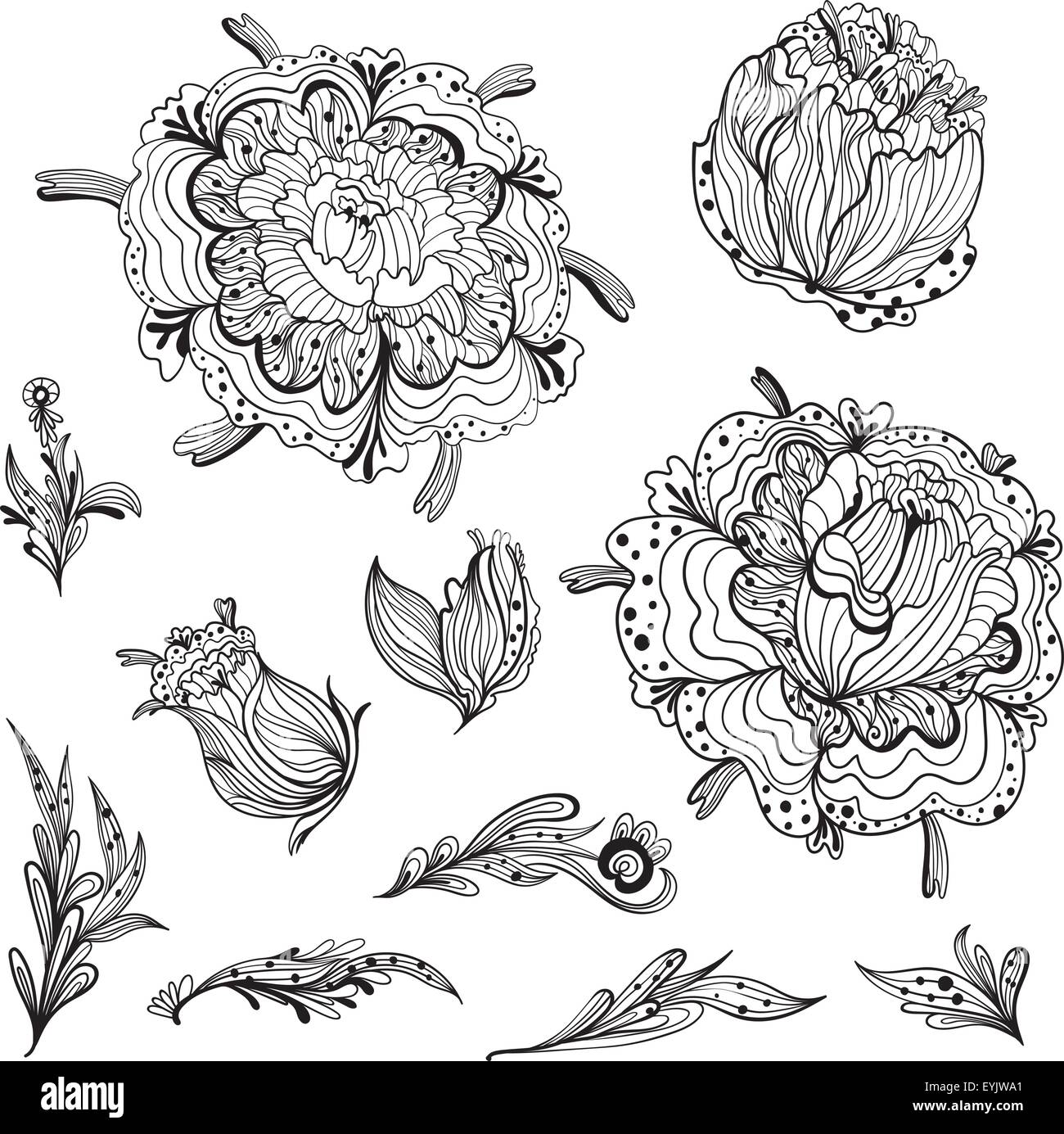 Doodle black vector romantic flowers and vignettes isolated on white ...