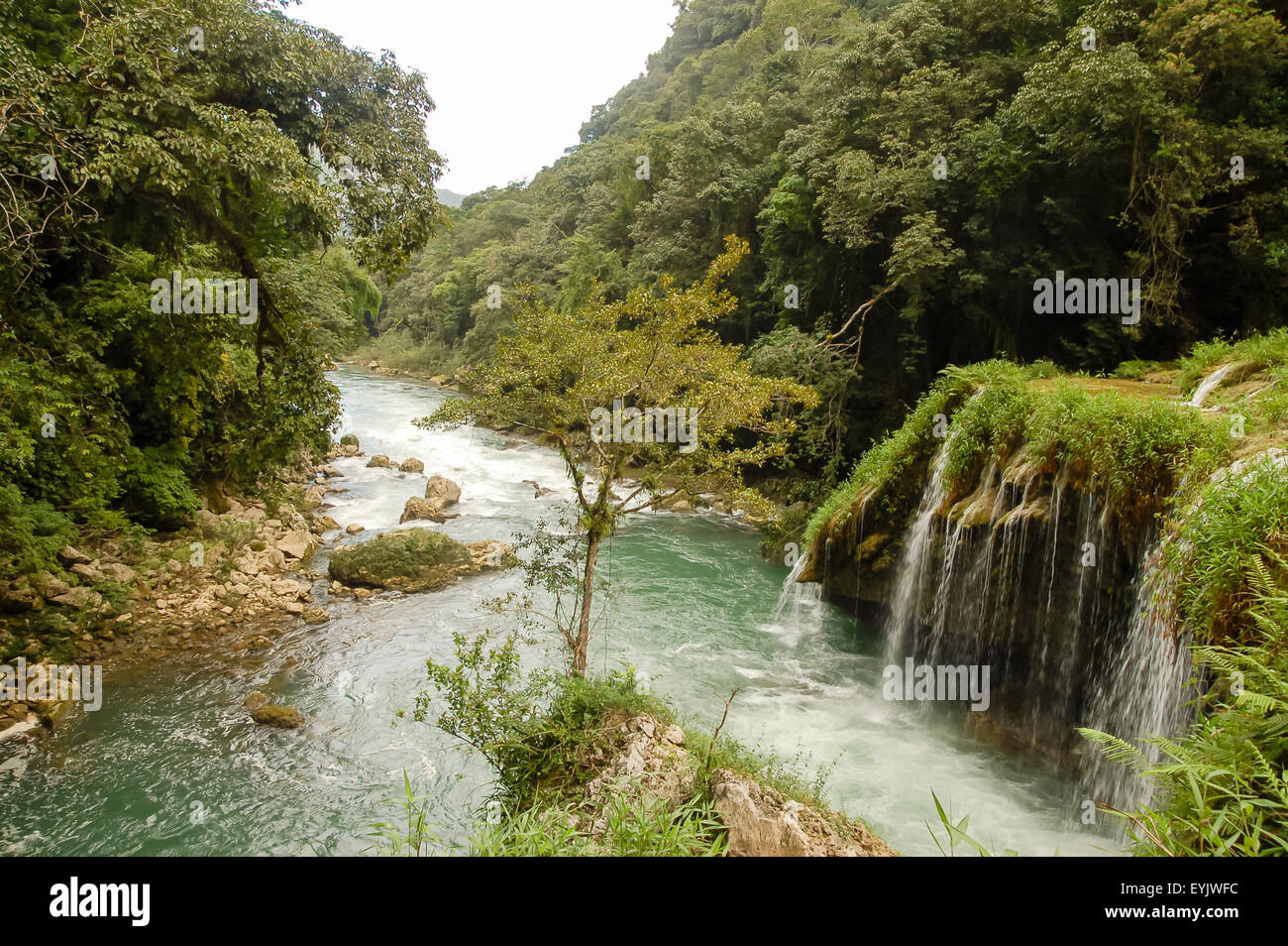 Semuc Champey Guatemala Stock Photo - Alamy