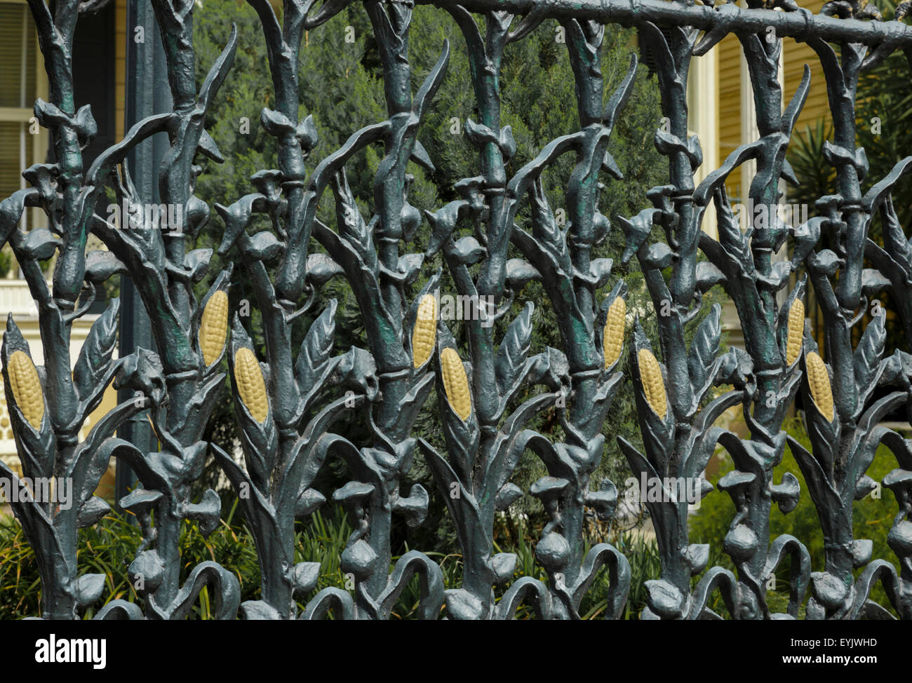 Ears of corn pattern in a wrought iron fence in New Orleans, Louisiana ...