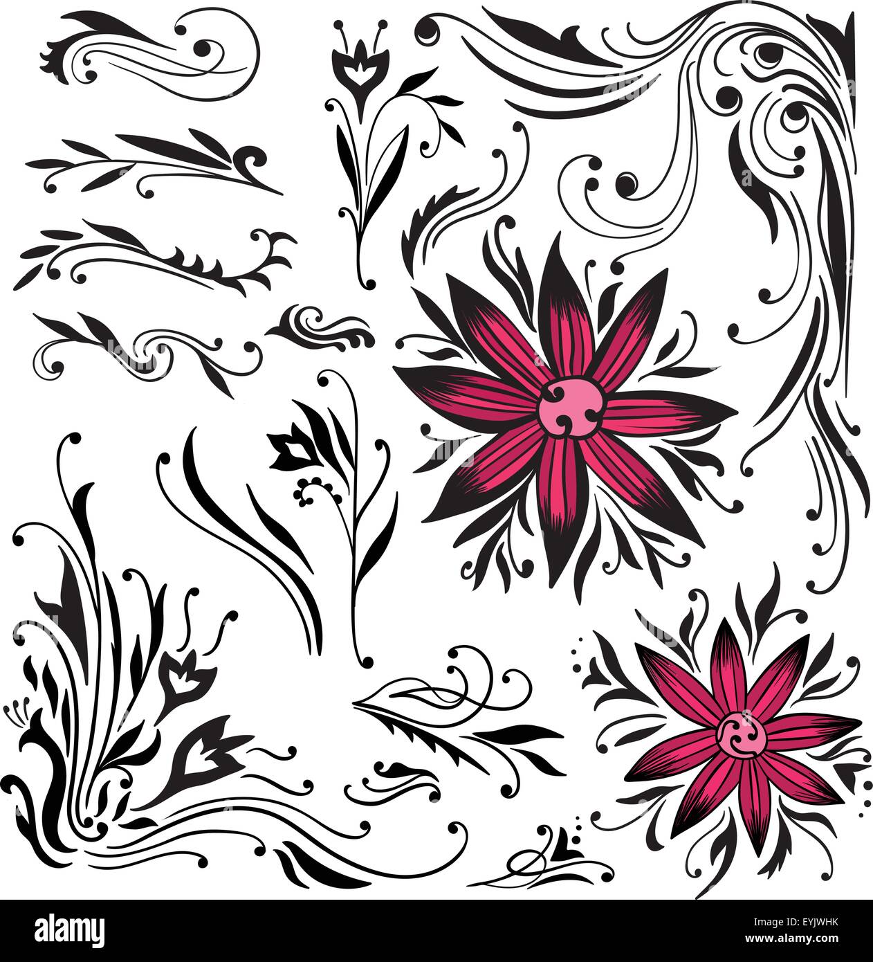 Swirls and curls set Stock Vector Image & Art - Alamy