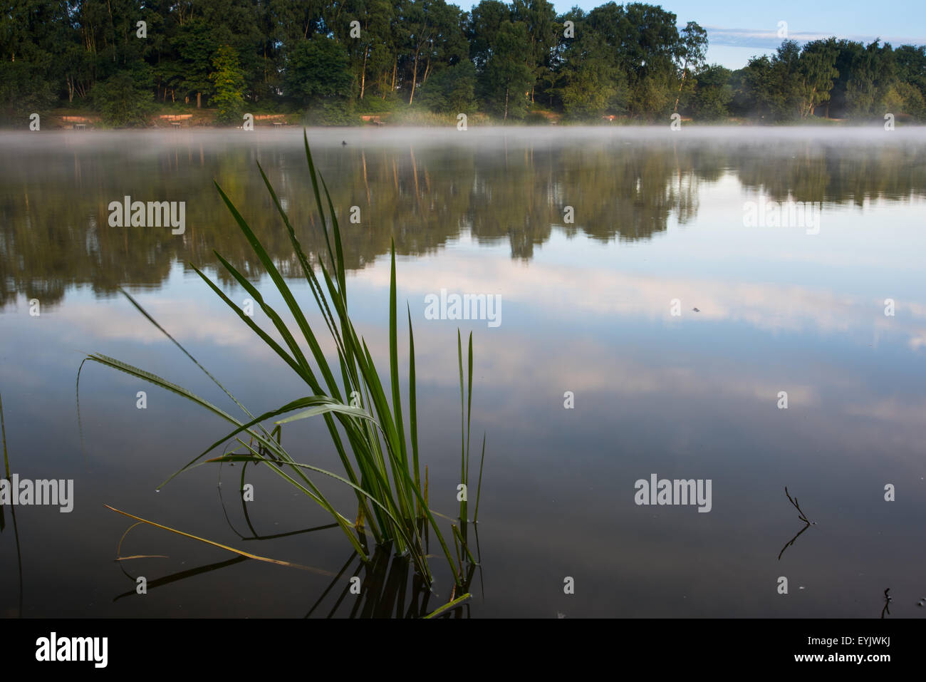 Calf Heath reservoir at Dawn cannock uk Stock Photo - Alamy