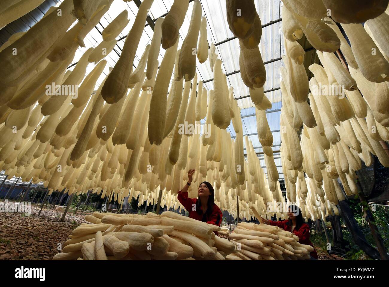 Dongxiang, China's Jiangxi Province. 31st July, 2015. Workers dry ...