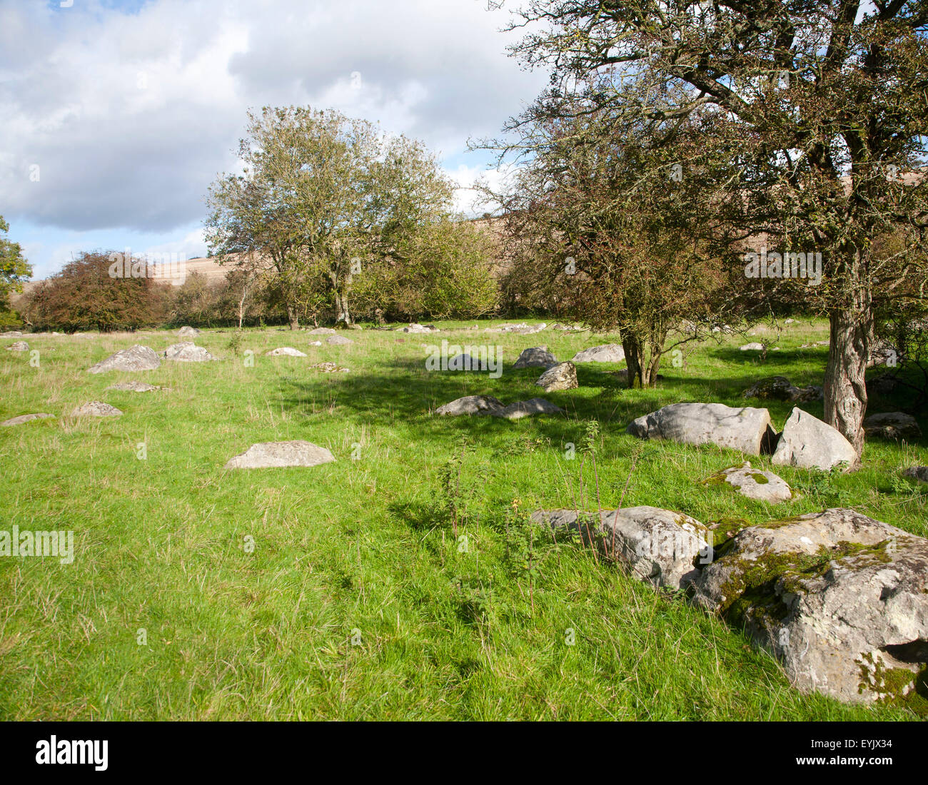 Lockeridge dene and piggledene hi-res stock photography and images - Alamy