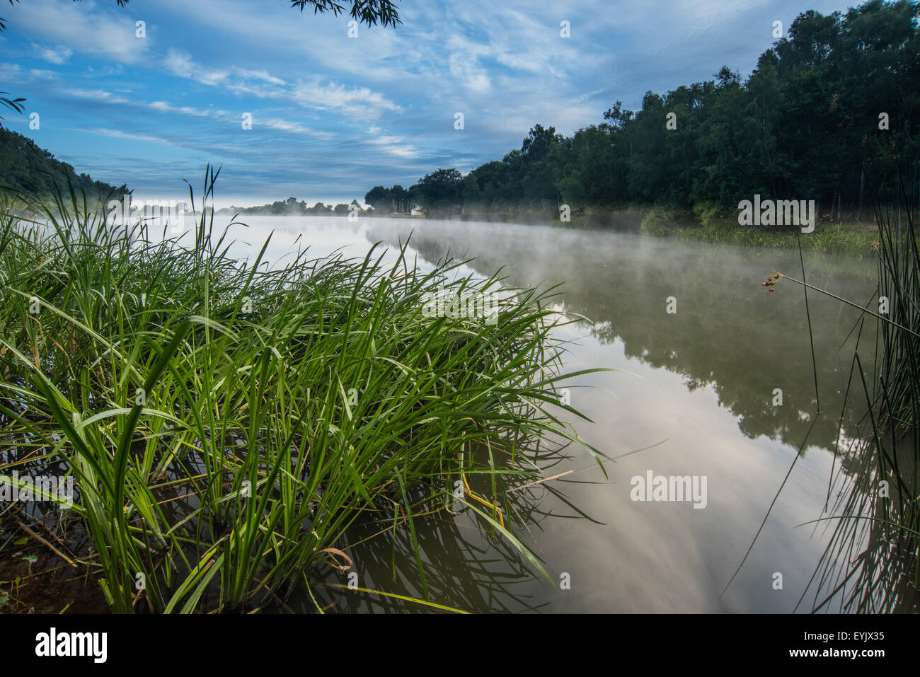 Calf Heath reservoir at Dawn cannock uk Stock Photo - Alamy