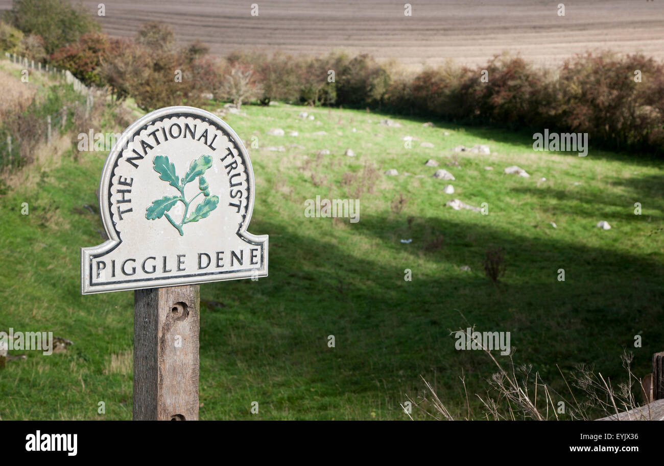 Piggle Dene is a National Trust area of chalk dry valley with sarsen ...