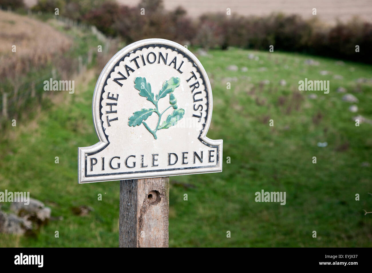 Piggle Dene is a National Trust area of chalk dry valley with sarsen ...