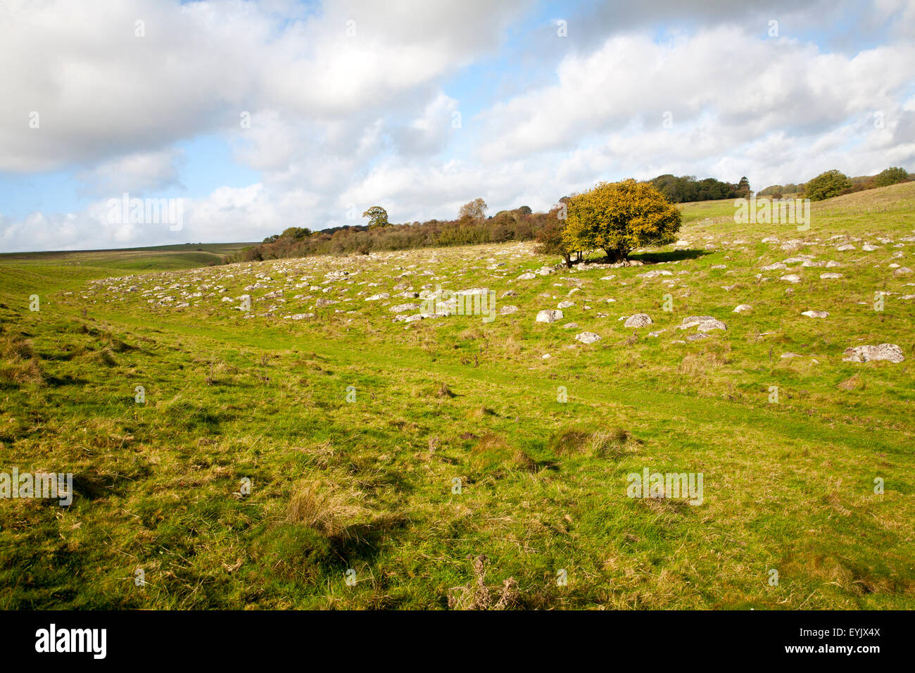 Uk unimproved chalk grassland with sarsen stones hi-res stock ...