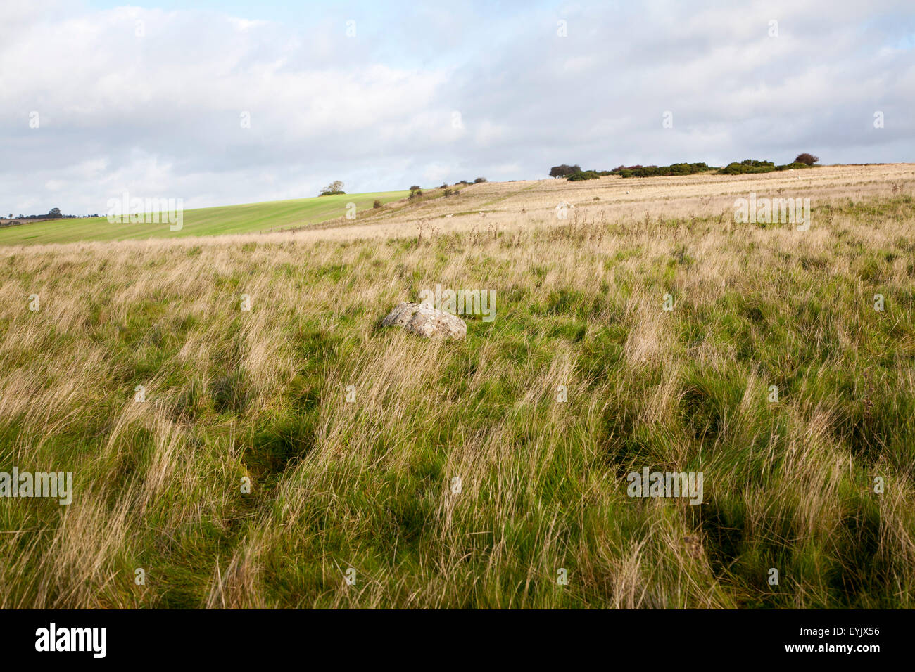 Grassland nature reserve uk hi-res stock photography and images - Alamy