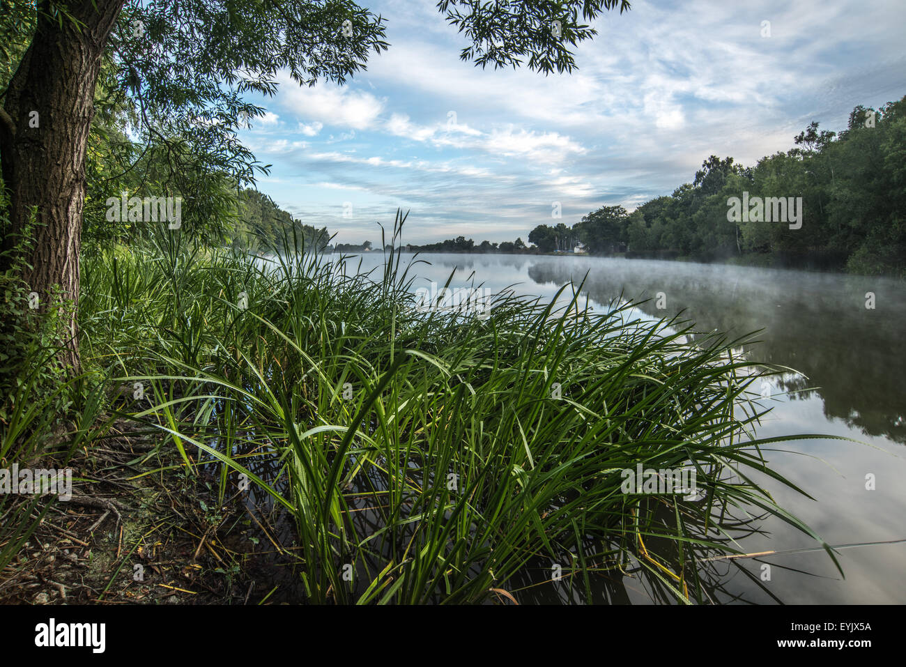Calf heath reservoir hi-res stock photography and images - Alamy