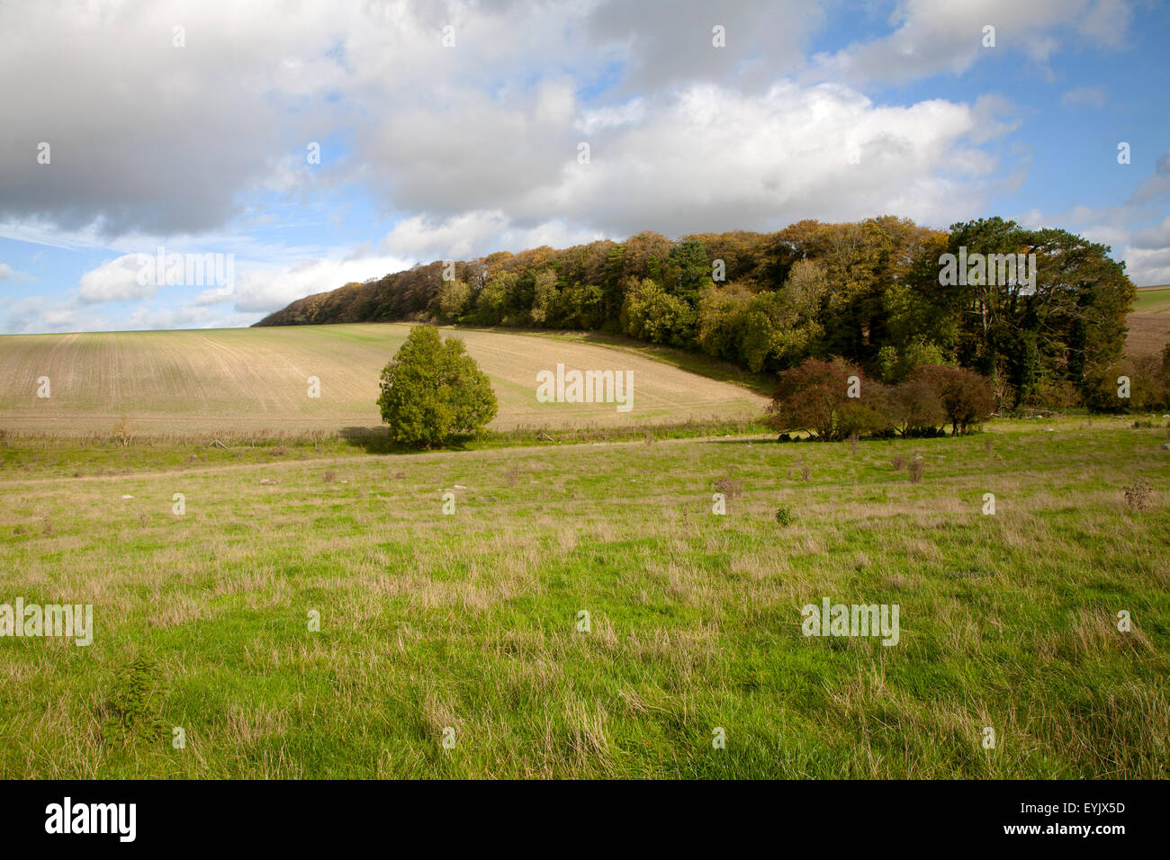 Fyfield High Resolution Stock Photography and Images - Alamy