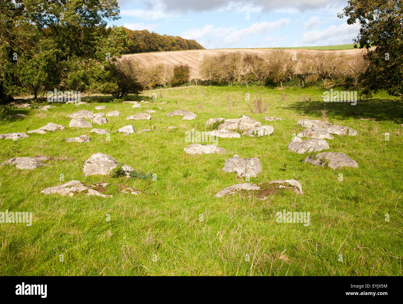 Piggle Dene is a National Trust area of chalk dry valley with sarsen ...