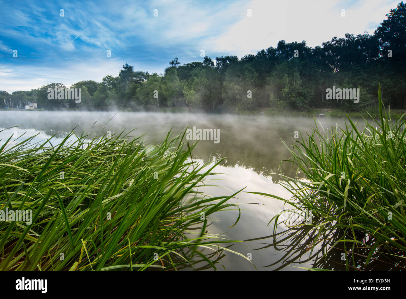 Calf Heath Reservoir High Resolution Stock Photography and Images - Alamy