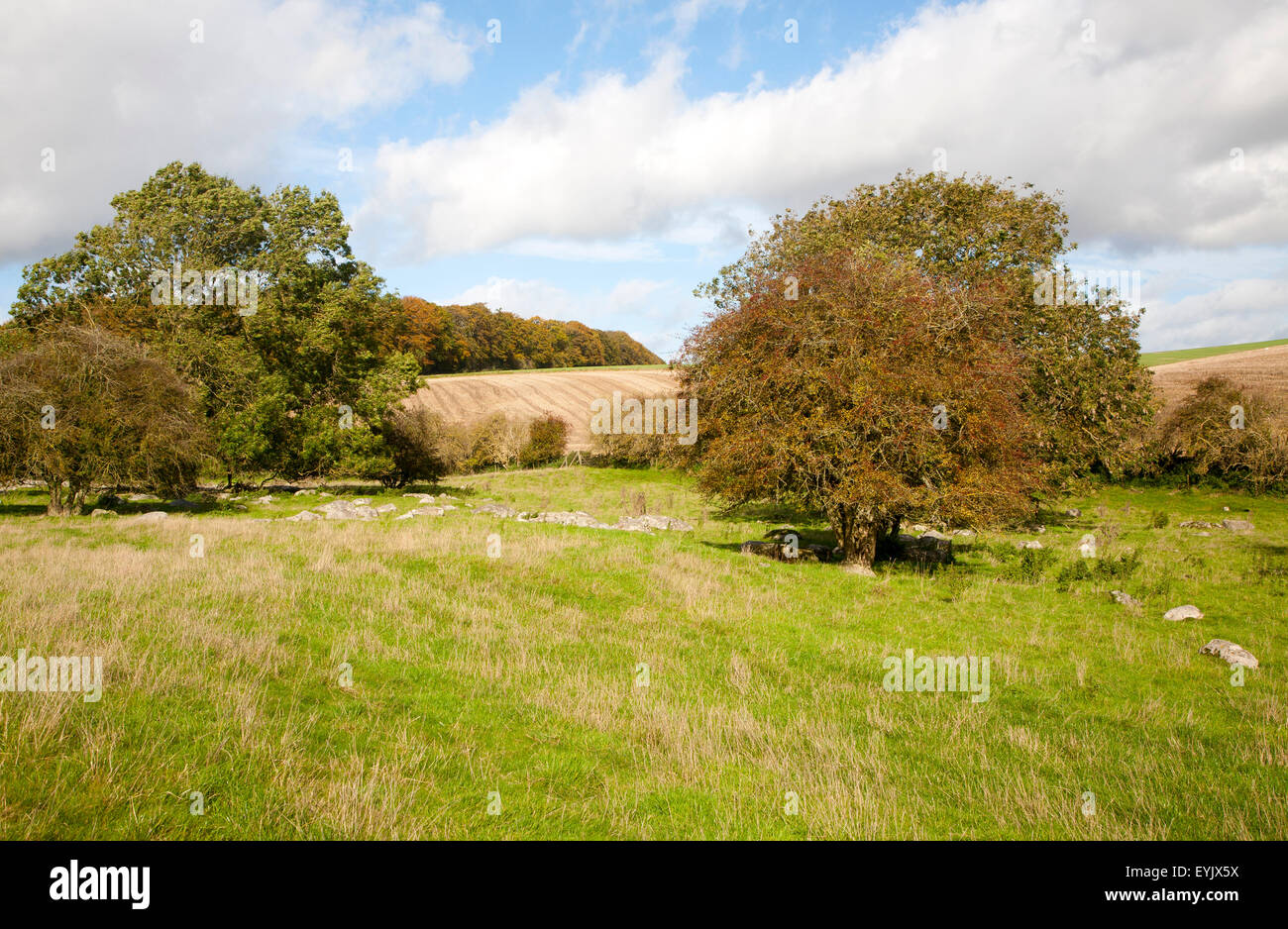 Lockeridge dene and piggledene hi-res stock photography and images - Alamy