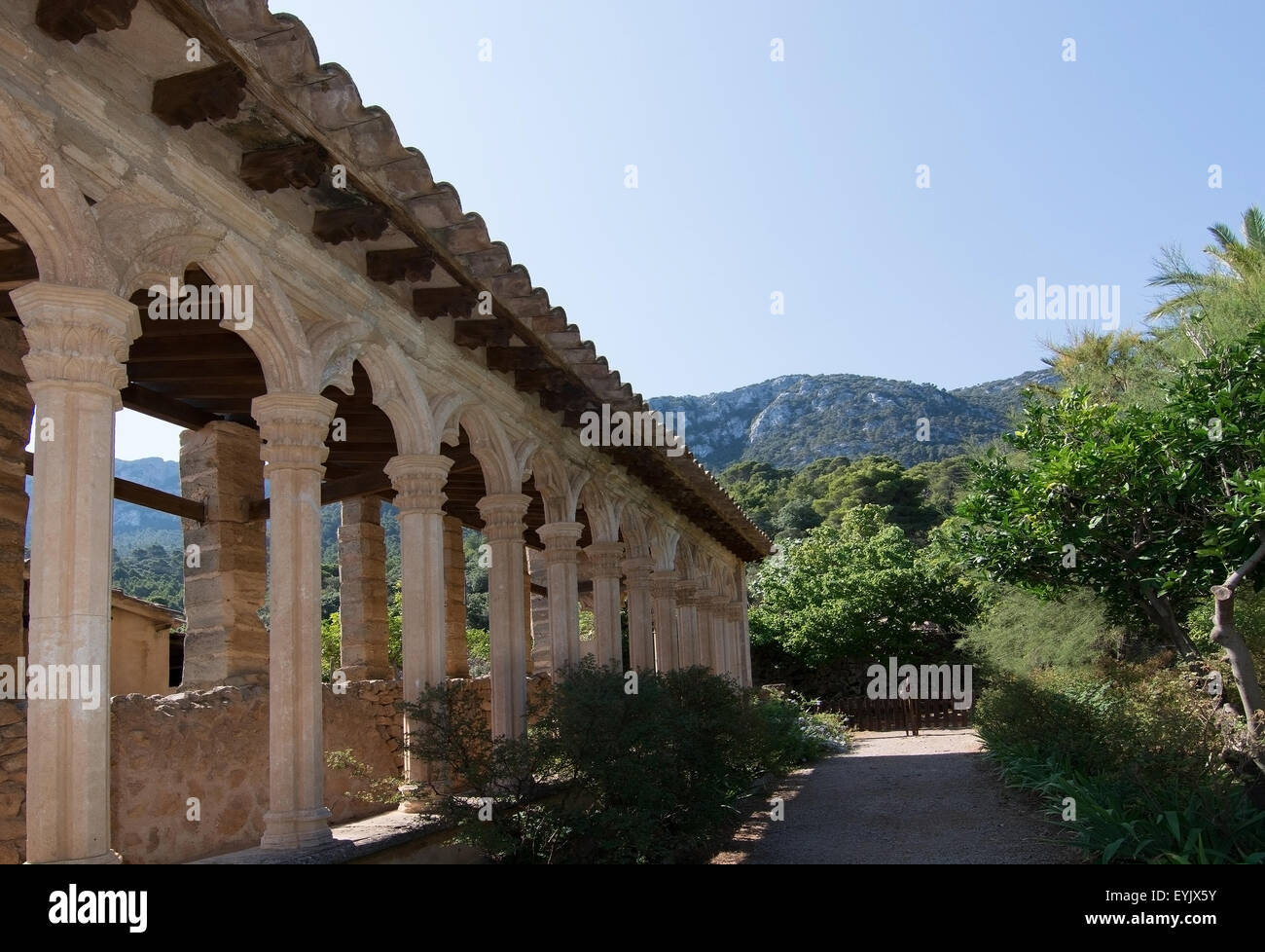 Detail of pillar and vault building in Monastery of Miramar Stock Photo ...