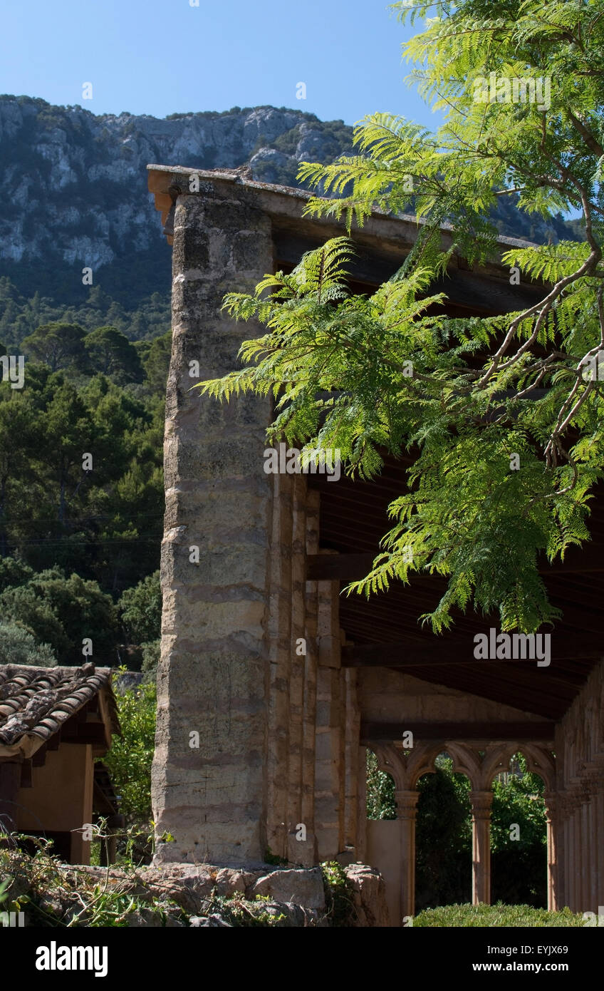 Detail of pillar and vault building in Monastery of Miramar Stock Photo ...