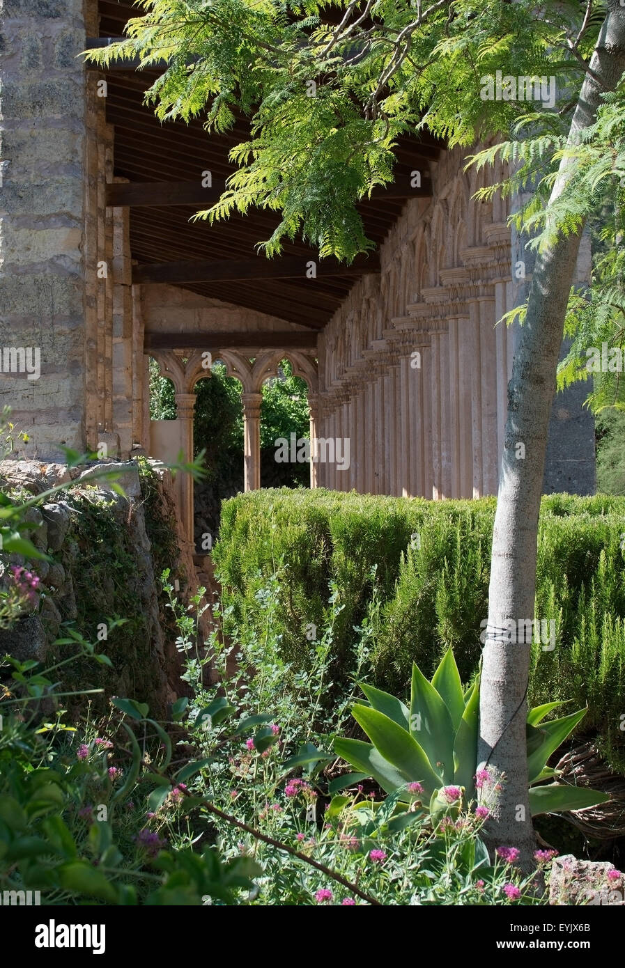 Detail of pillar and vault building in Monastery of Miramar Stock Photo ...