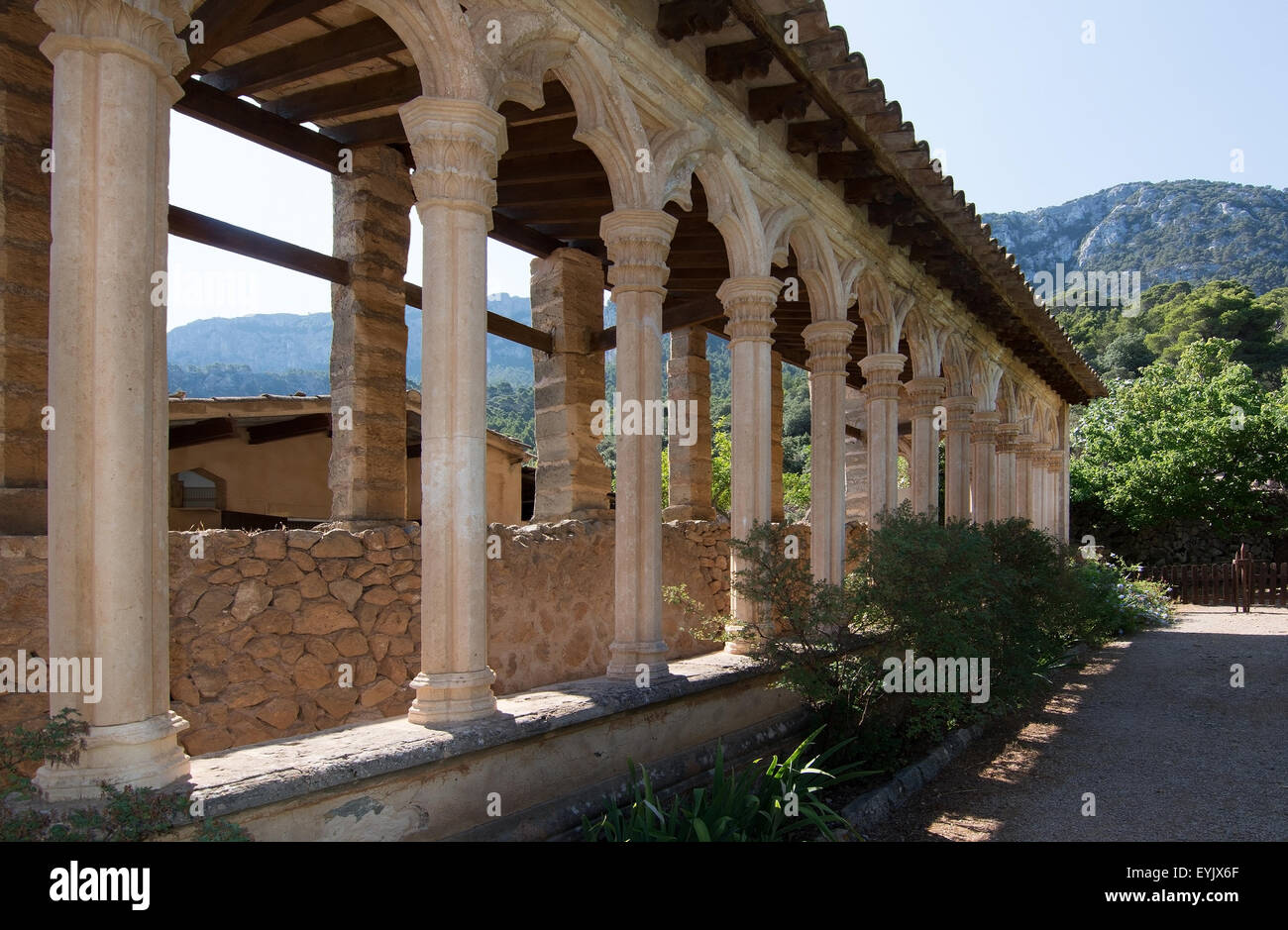 Detail of pillar and vault building in Monastery of Miramar Stock Photo ...