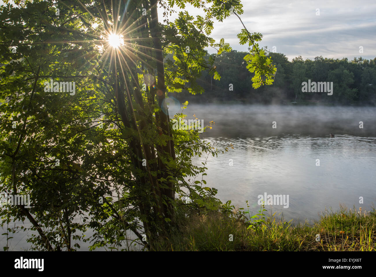 Calf Heath reservoir at Dawn cannock uk Stock Photo - Alamy