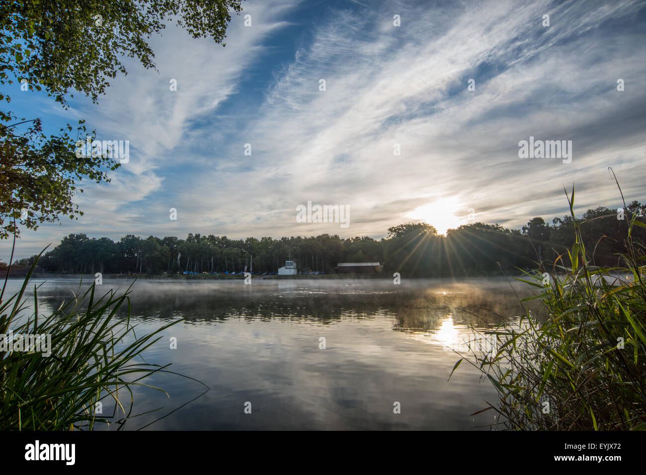 Calf heath hi-res stock photography and images - Alamy