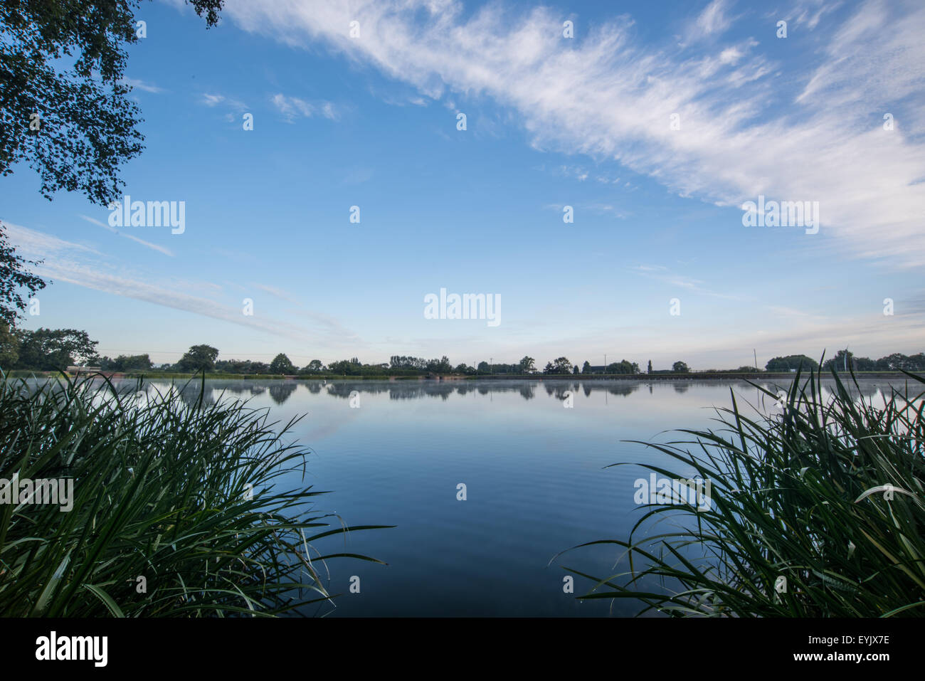 Calf heath hi-res stock photography and images - Alamy