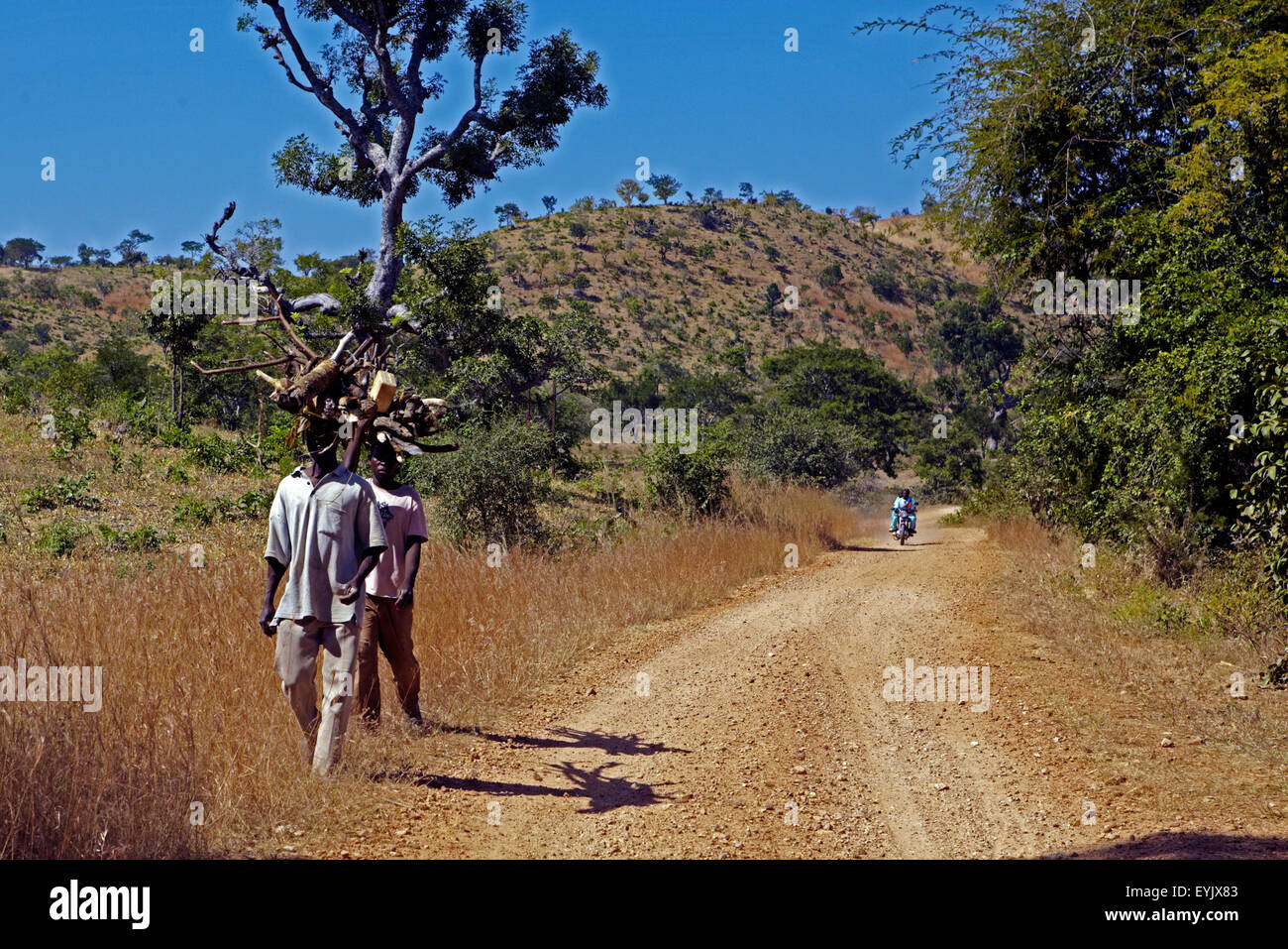 Africa, Cameroon, Far North Province, Rhumsiki village area Stock Photo ...