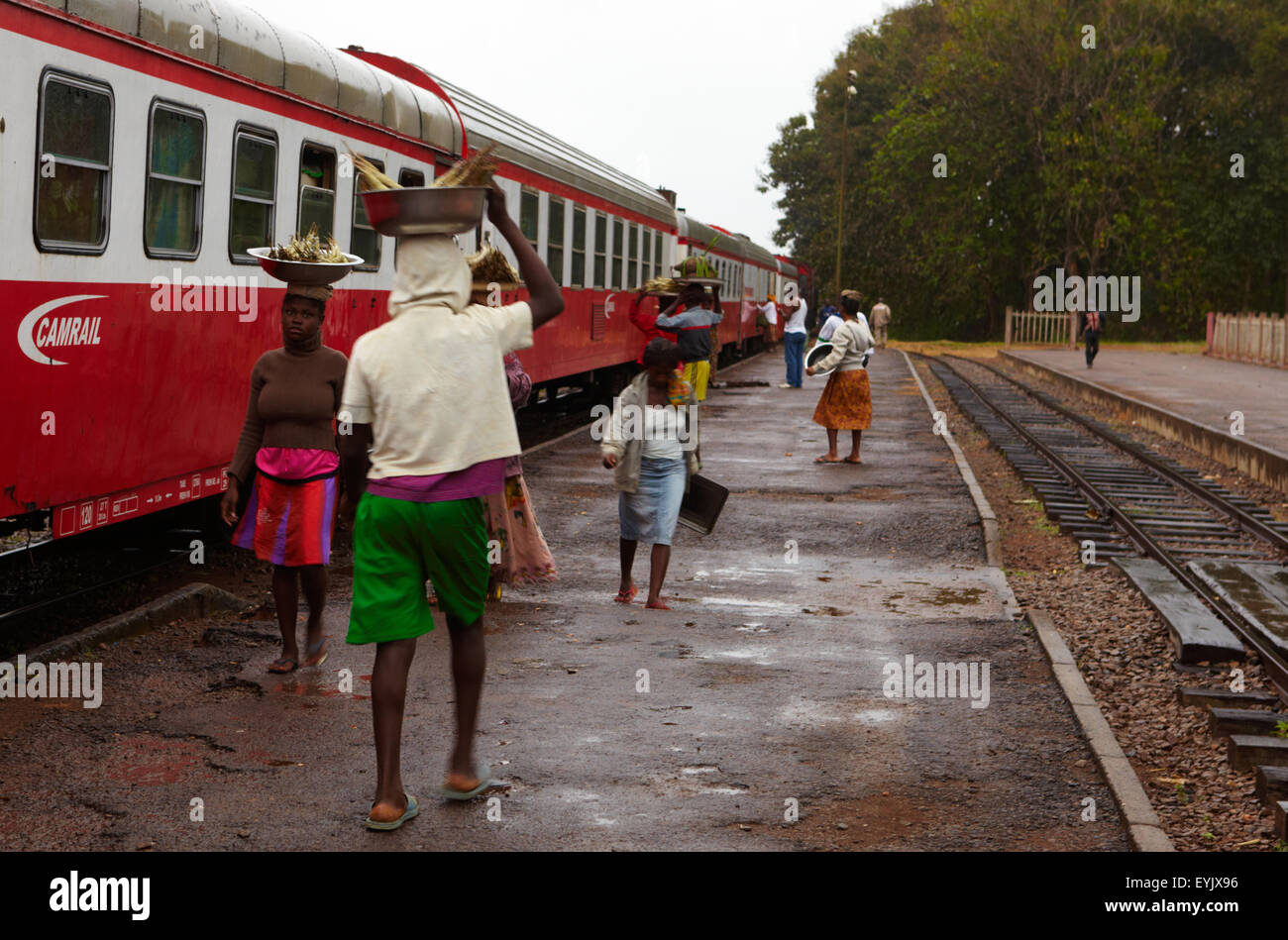 Rail travel cameroon hi-res stock photography and images - Alamy