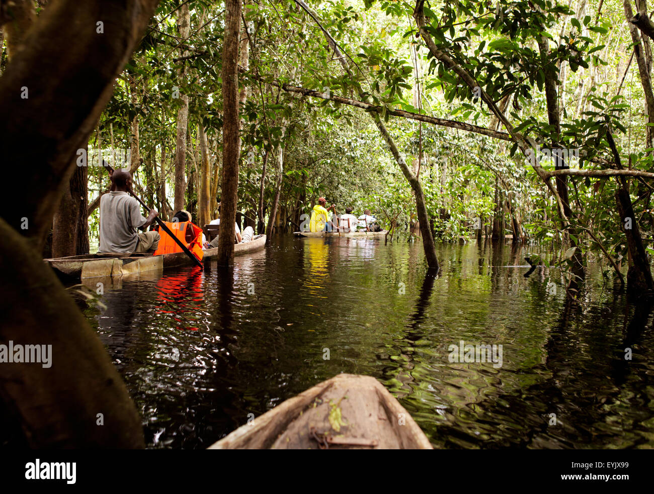 Africa, Cameroon, Center Province, Ebogo, along the Nyong river with ...