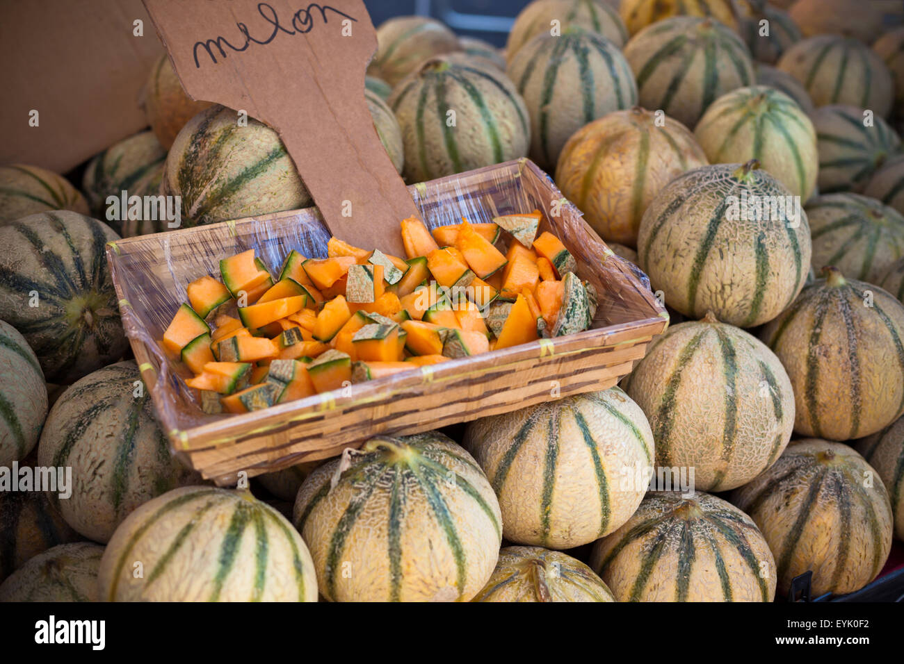 Ripe fresh melons pile in a farmers market. Horizontal shot with a ...