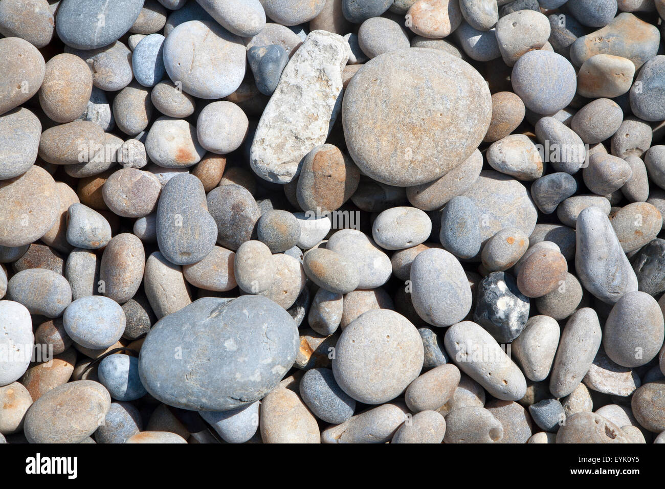 Close up rounded pebbles on shingle beach, Chesil Beach, Chiswell, Isle ...
