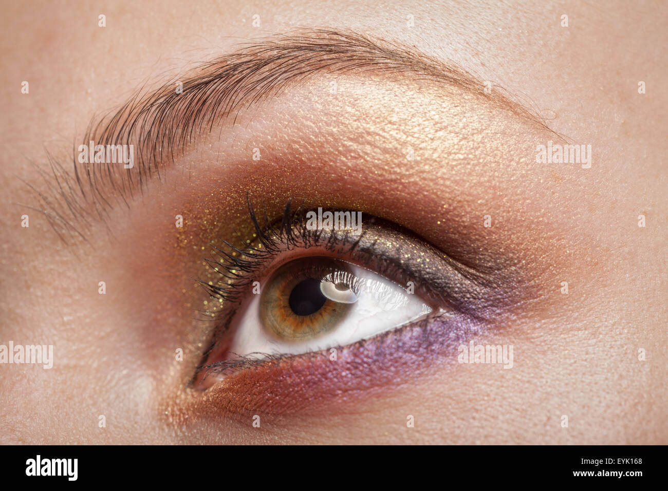 Human eye model hi-res stock photography and images - Alamy