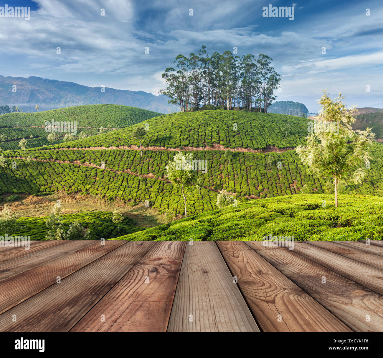 Wood planks floor with green tea plantations in background. Munnar ...