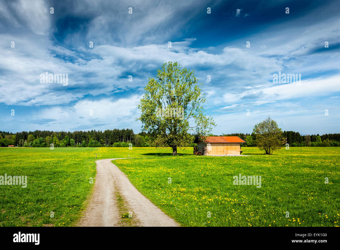 Parstoral European scene - rural road in summer meadow, tree and wooden ...