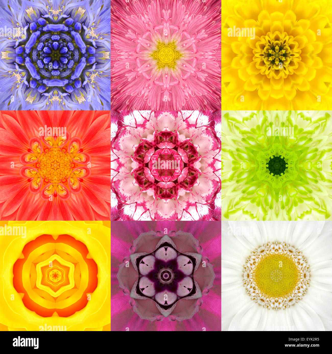 Collection Set of Nine Concentric Flower Mandalas. Full Frame Flower ...