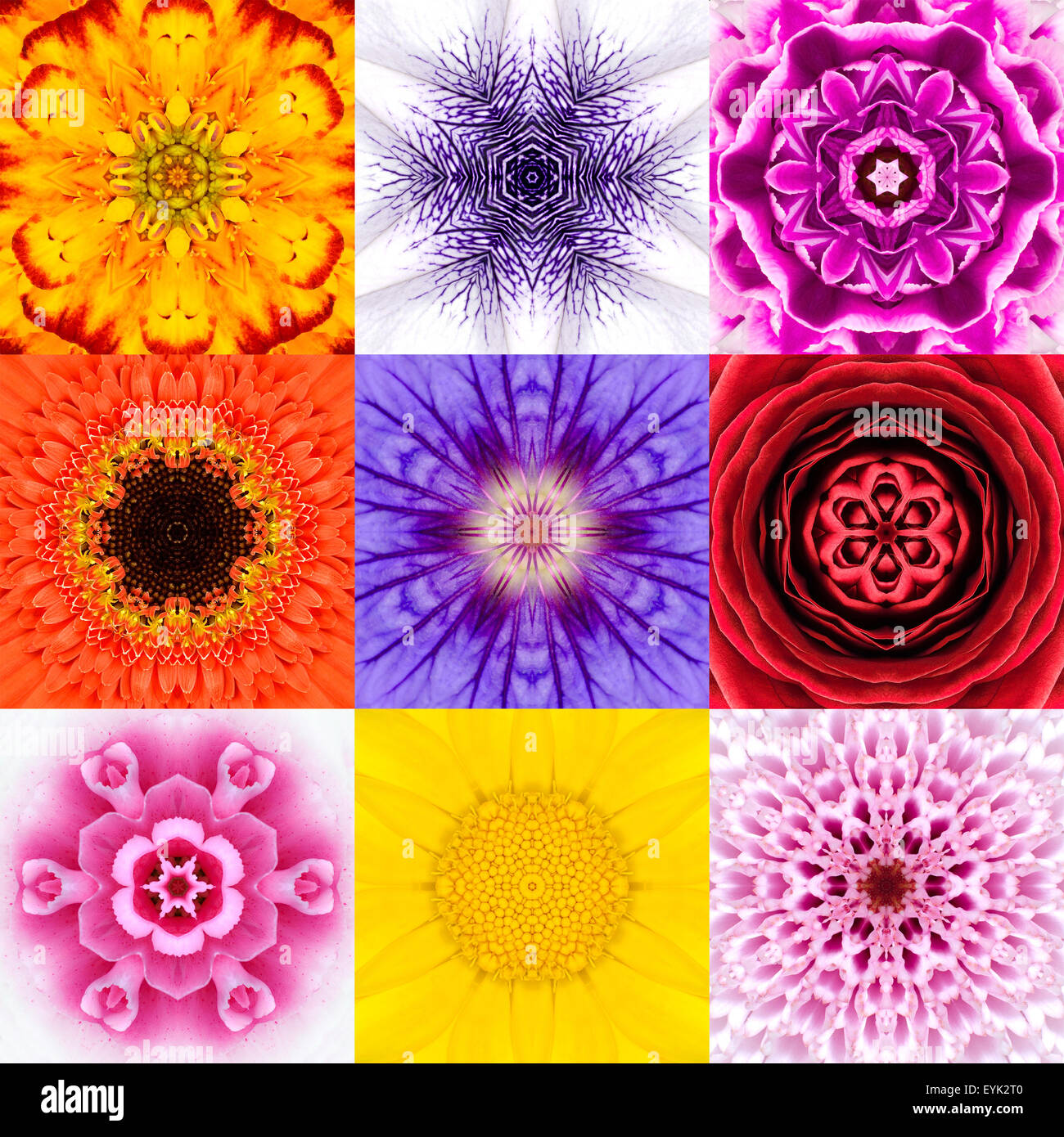 Collection Set of Nine Concentric Flower Mandalas. Full Frame Flower ...