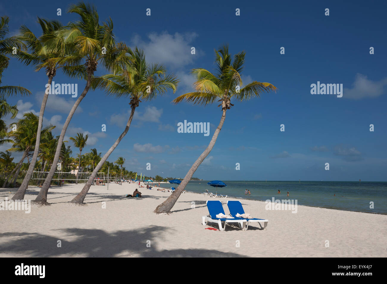Florida keys, beach palms hi-res stock photography and images - Alamy