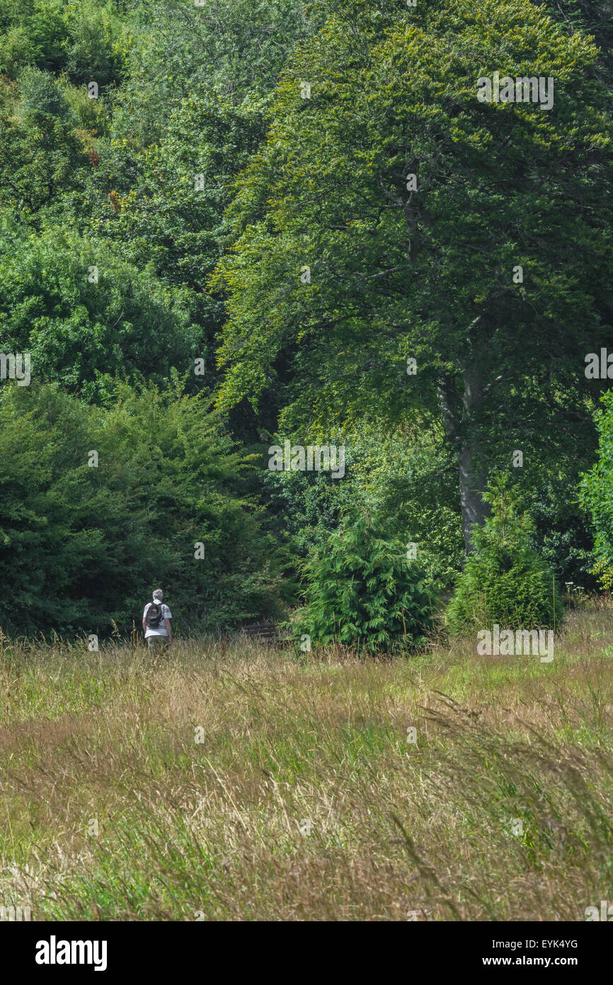 Recreational stroll hi-res stock photography and images - Alamy