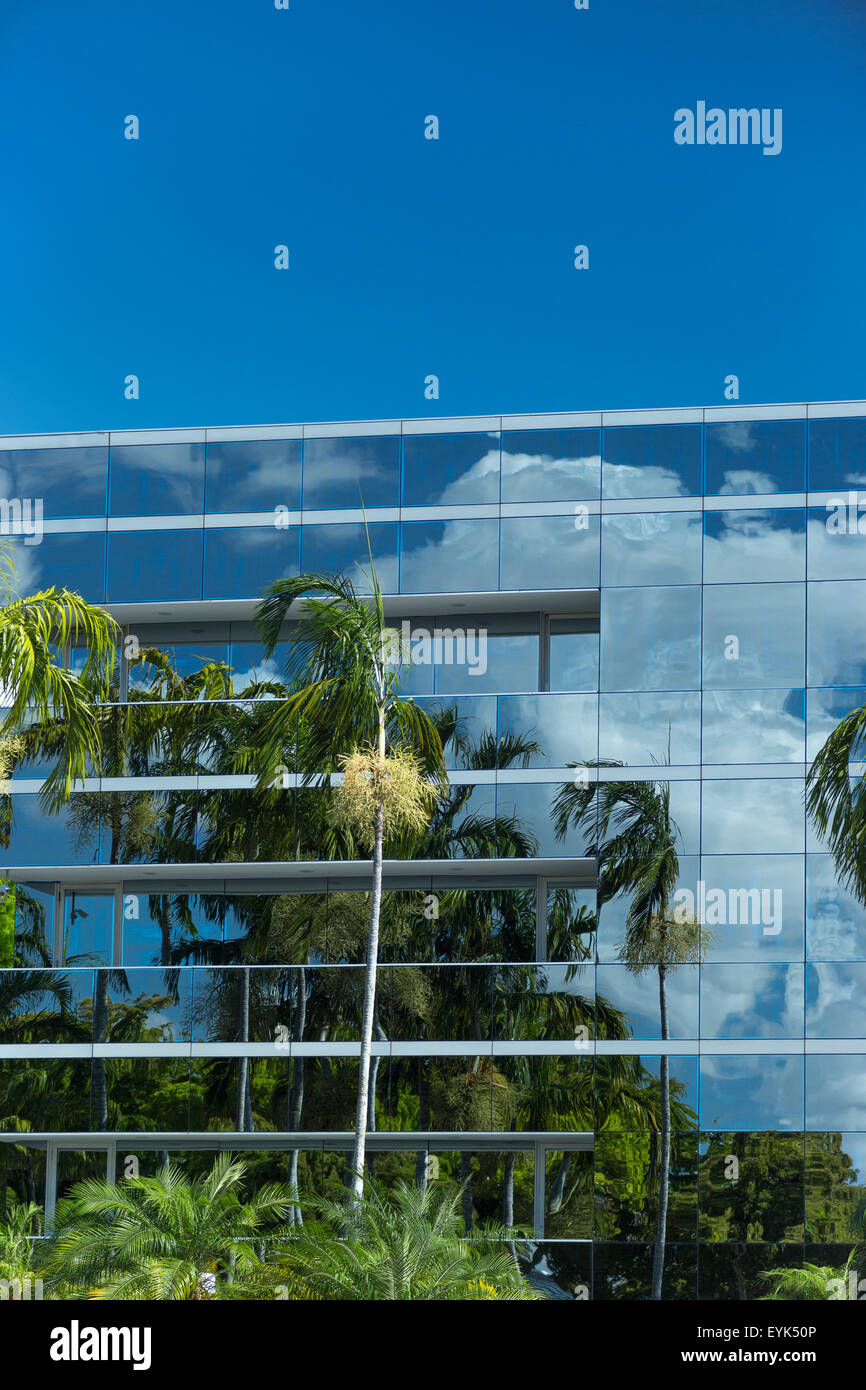 PALM TREES REFLECTED IN GLASS WALL OF SUBURBAN OFFICE BUILDING MIAMI ...