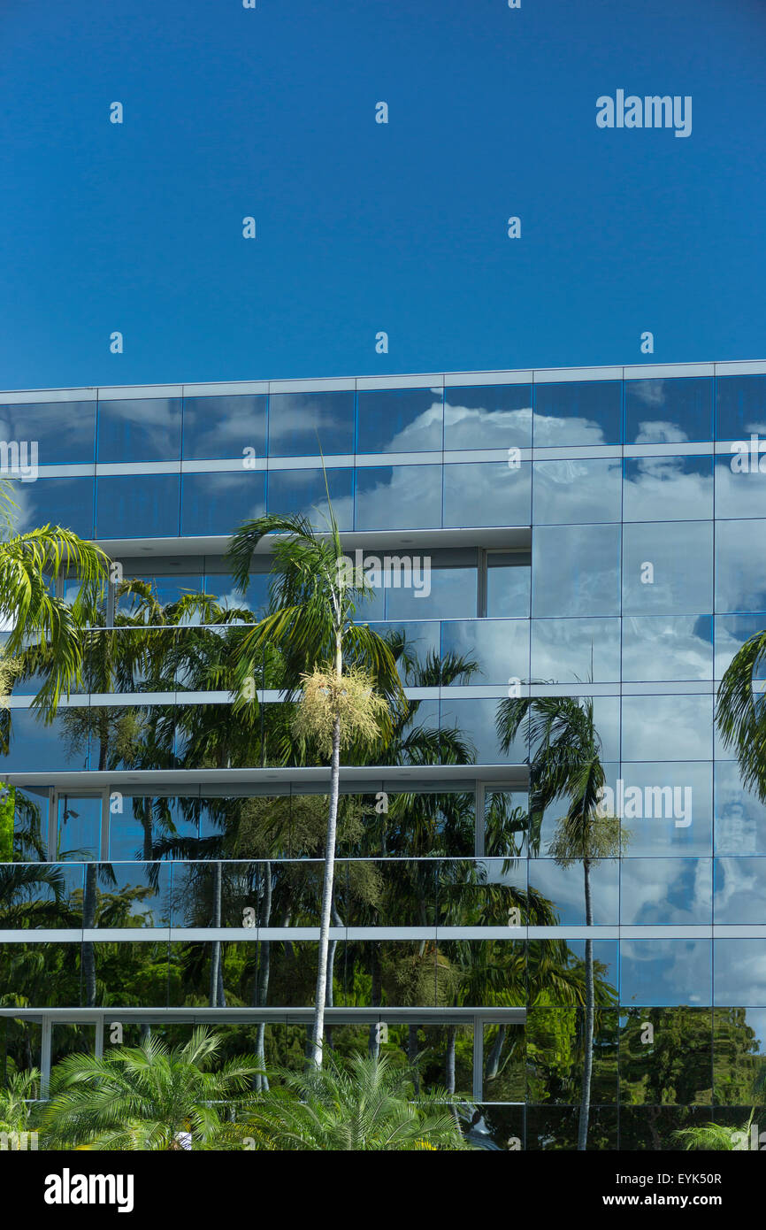 Office trees hi-res stock photography and images - Alamy