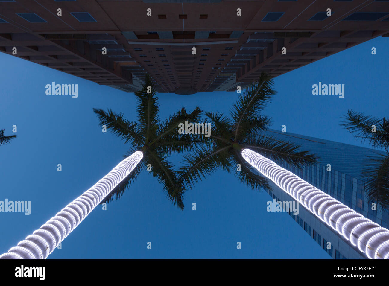 Illuminated palm hi-res stock photography and images - Alamy