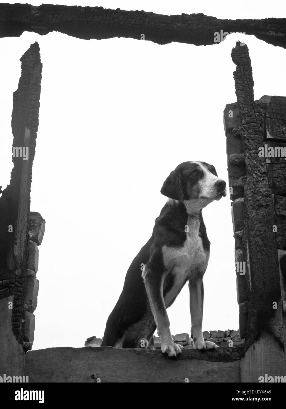 Burn outside Black and White Stock Photos & Images - Alamy