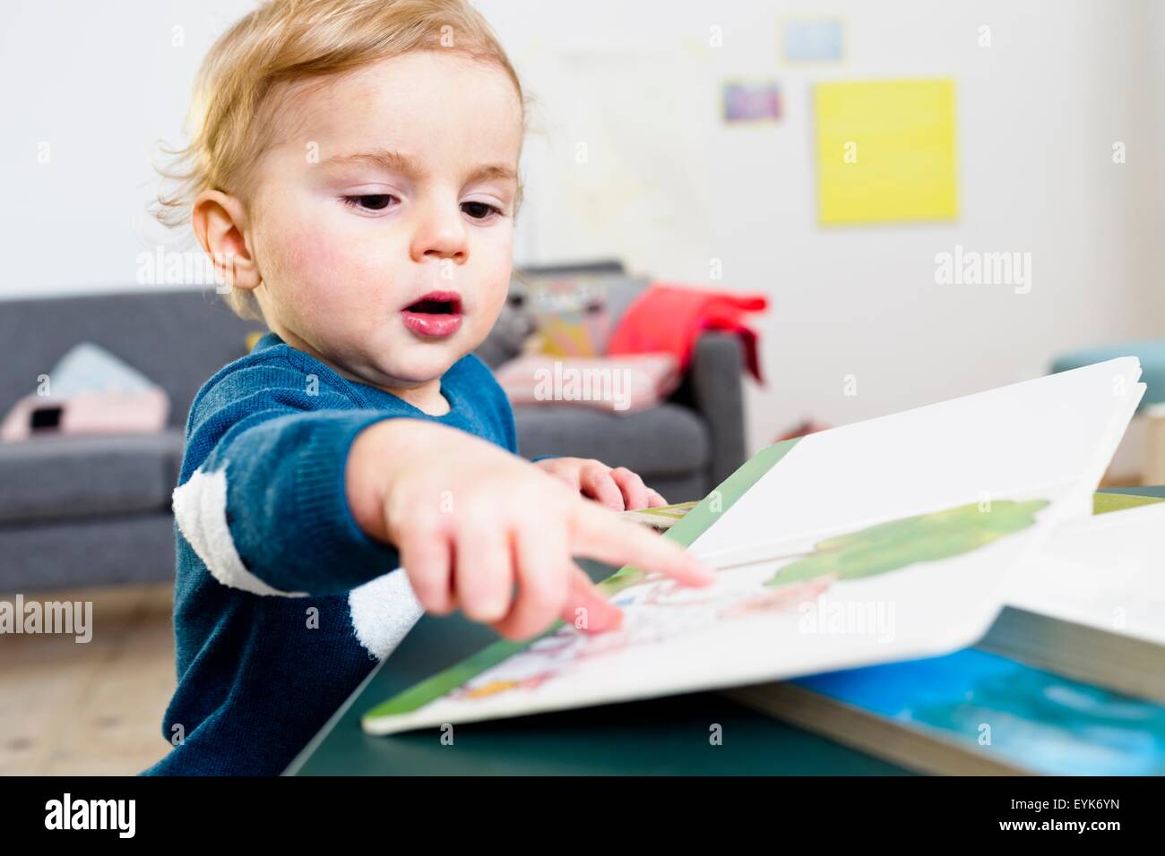 Boy pointing at book Stock Photo - Alamy